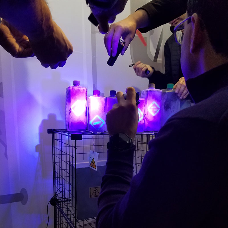 5 exemples d’activités et jeux RSE en entreprise